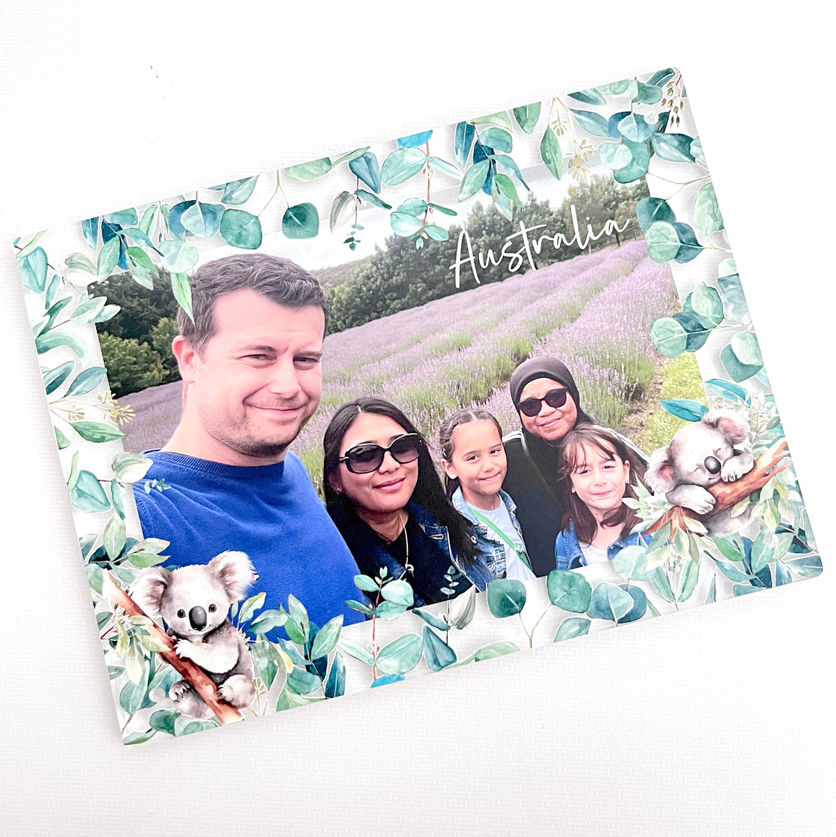 Photo print on acrylic (Koalas with eucalyptus leaves border) – Wombat ...